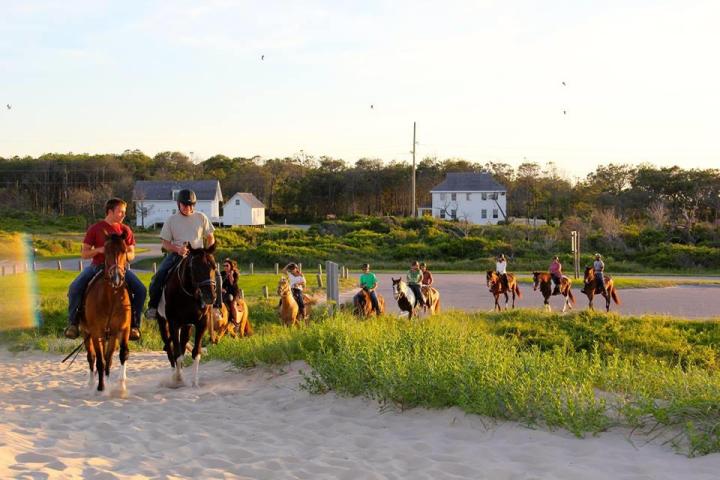 Outer Banks & Nags Head Beach Horseback Riding Tours | VBH