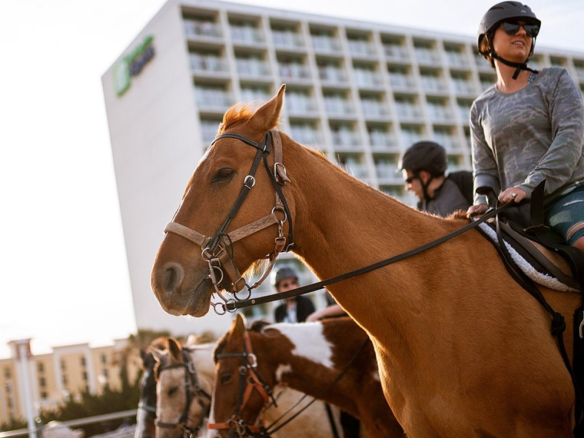 Virginia Beach Horseback | Horseback Riding Virginia Beach